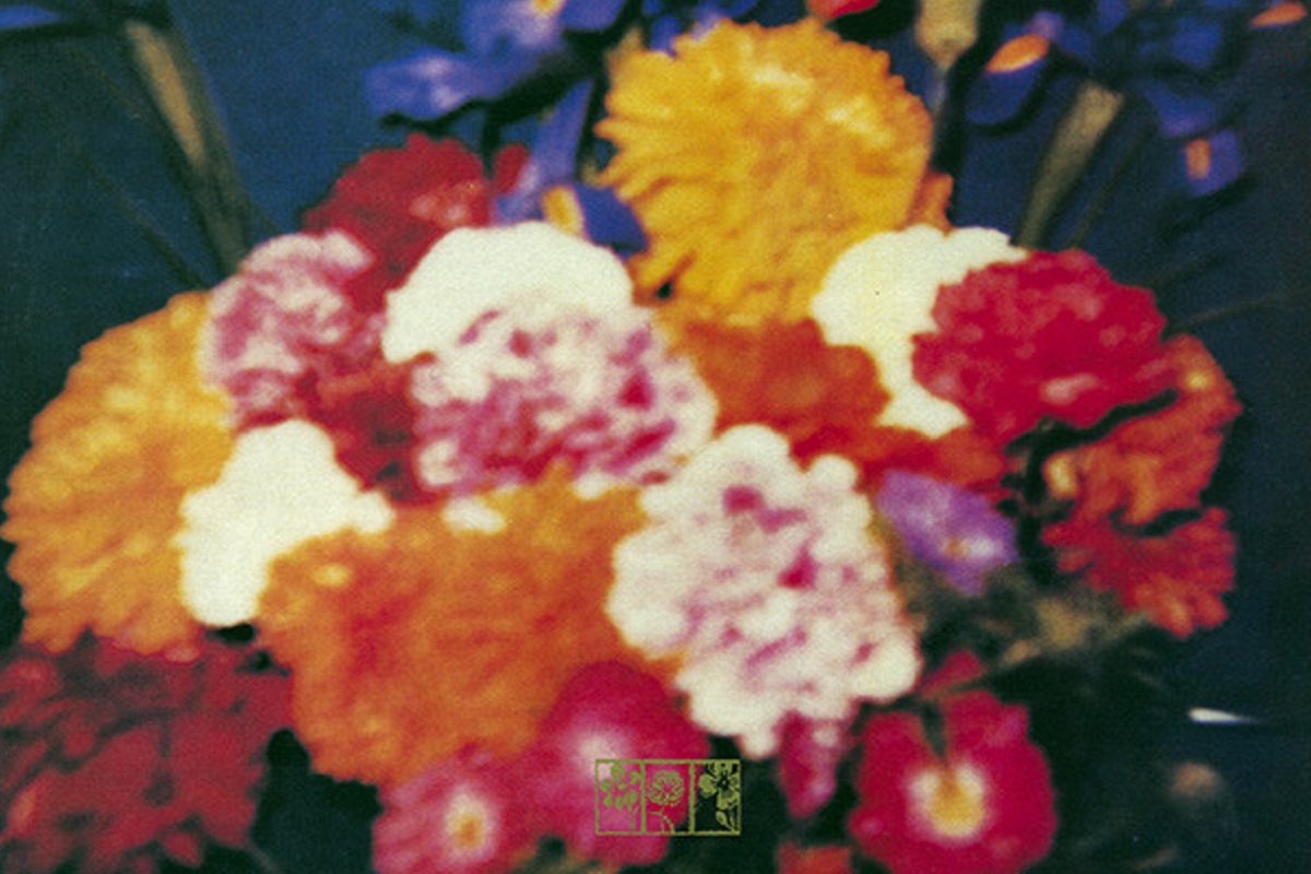 The Teardrop Explodes Wilder: “A bloody-minded look into the downside ...