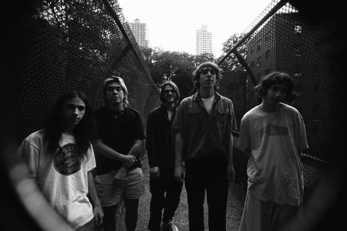 13 Questions with Geese – Sun 13